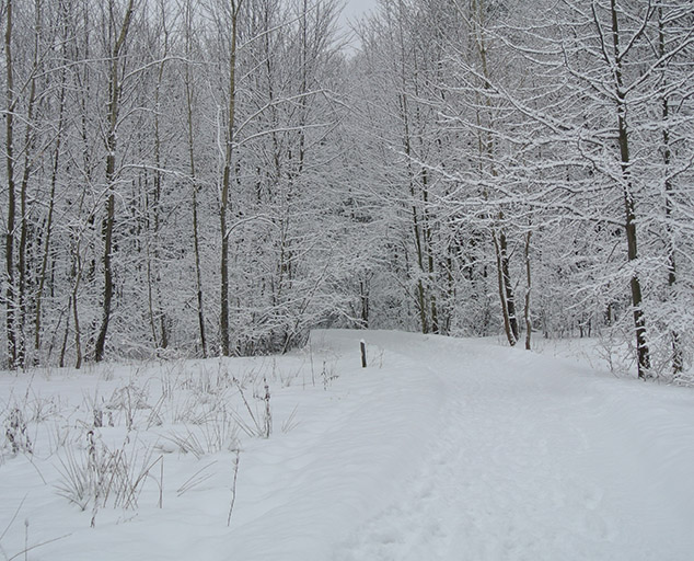 Lake Effect Snow: What Causes it? | Lake Metroparks