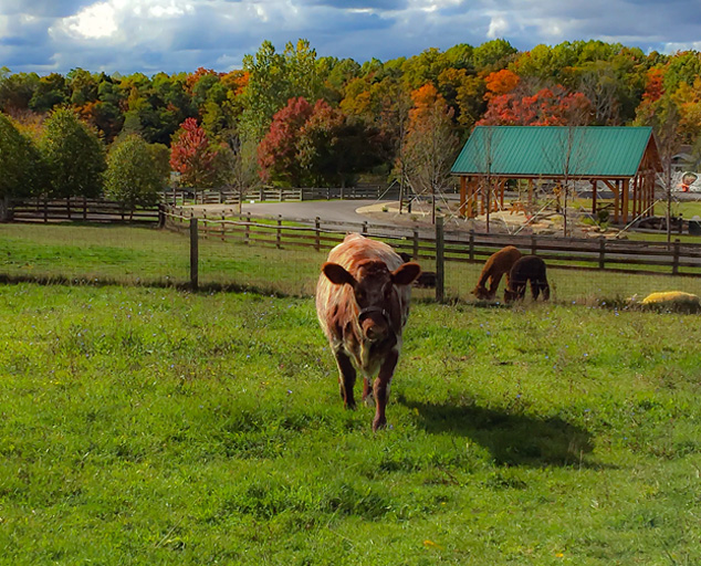 Lake Metroparks Farmpark - Family Science and Cultural Farming Center ...