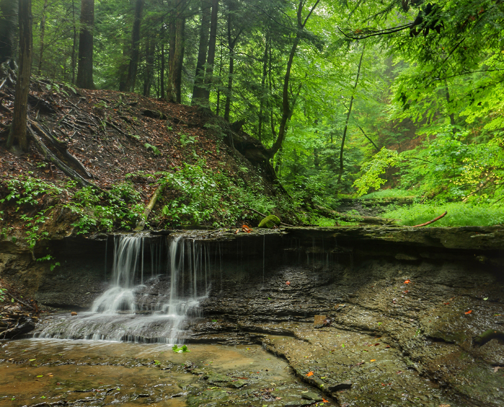 Hell Hollow Wilderness Area, waterfall | Lake Metroparks