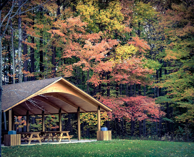 Hell Hollow Wilderness Area in Thompson, Ohio | Lake Metroparks