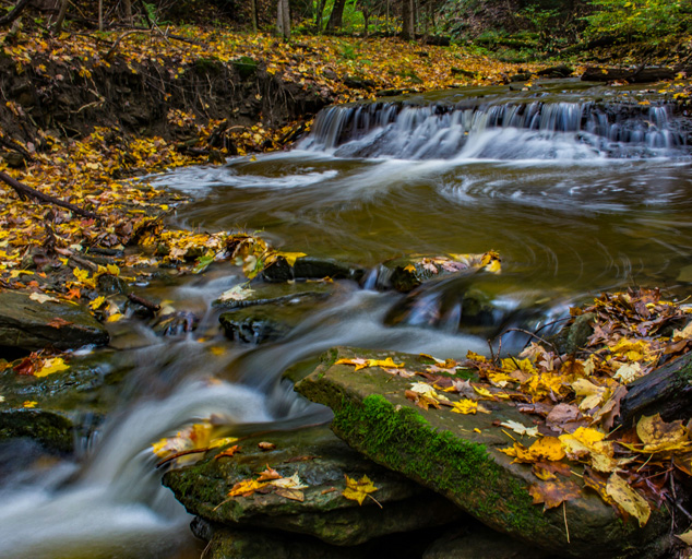 Hell Hollow Wilderness Area in Thompson, Ohio | Lake Metroparks