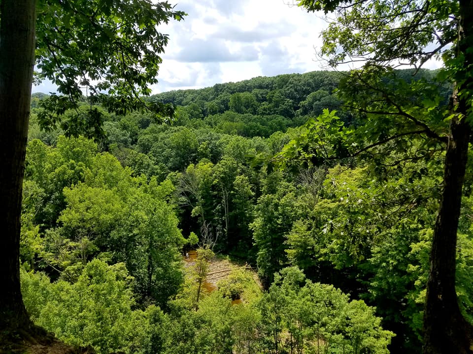Hell Hollow Wilderness Area | Lake Metroparks