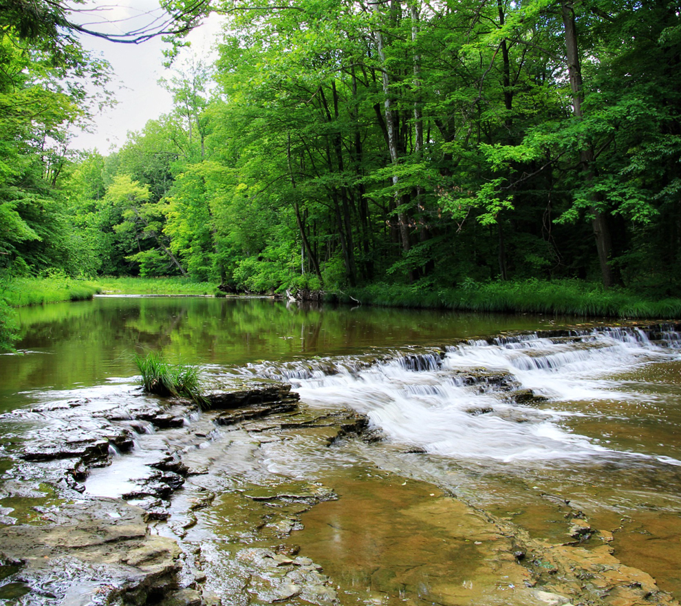 Hogback Ridge Park | Lake Metroparks