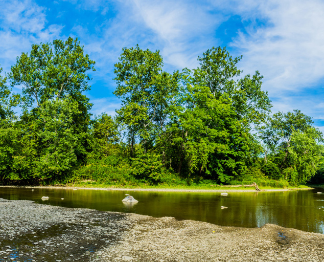 Indian Point Park - Discover Paine Creek in Leroy Twp. | Lake Metroparks