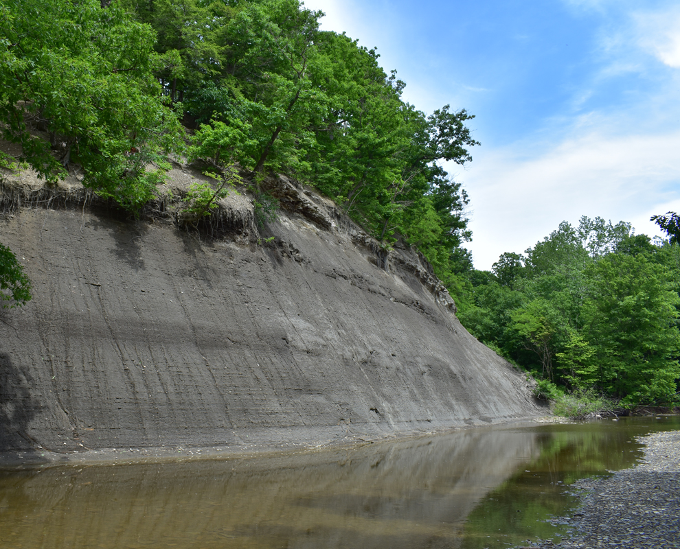 Indian Point Park - Discover Paine Creek in Leroy Twp. | Lake Metroparks