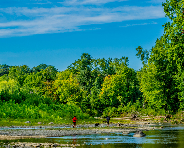 Indian Point Park - Discover Paine Creek in Leroy Twp. | Lake Metroparks