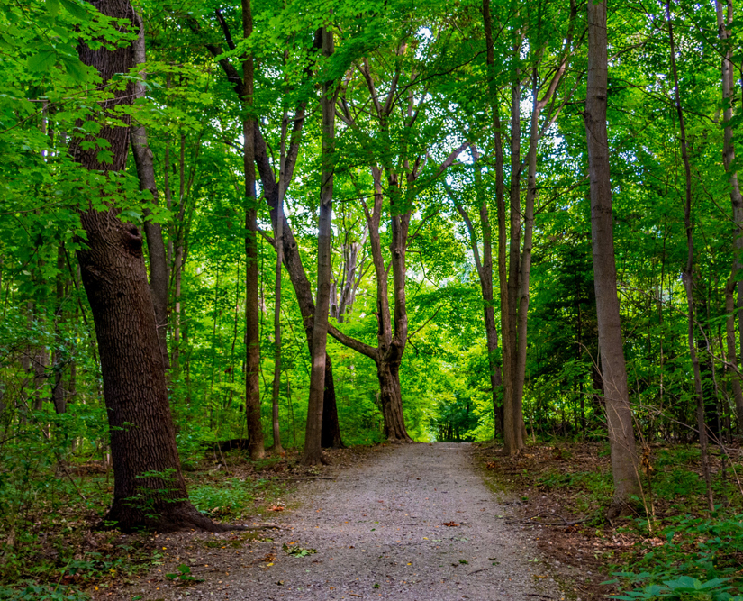 Indian Point Park - Discover Paine Creek in Leroy Twp. | Lake Metroparks