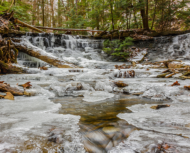 Hell Hollow Wilderness Area | Lake Metroparks