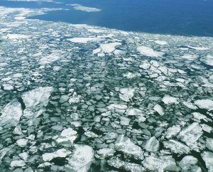 Lake Erie Ice | Lake Metroparks