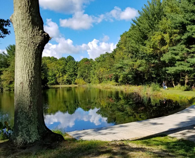Blair Ridge Park | Lake Metroparks