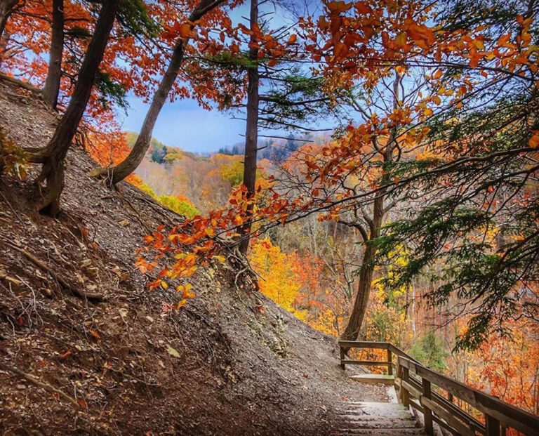 Hell Hollow Wilderness Area | Lake Metroparks