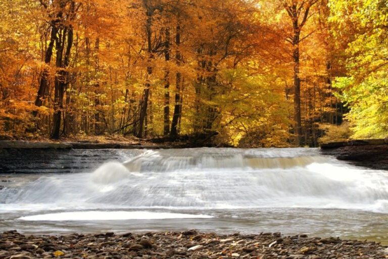 Hell Hollow Wilderness Area | Lake Metroparks