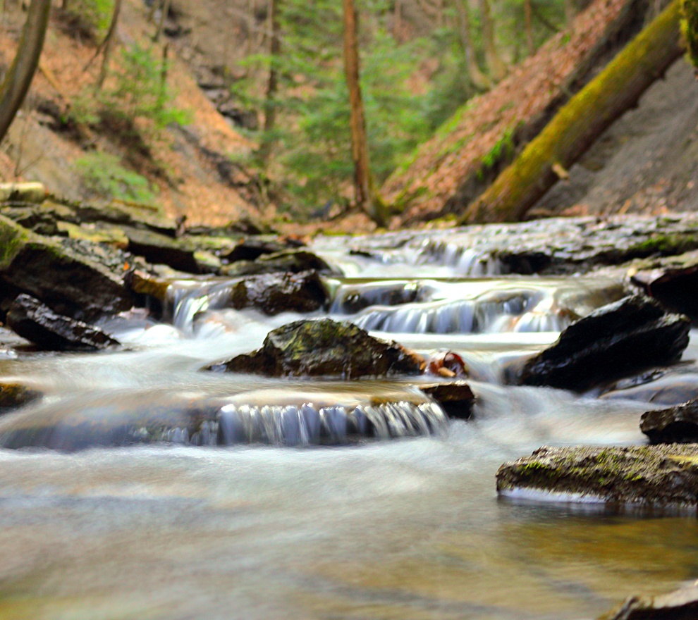 Hell Hollow Wilderness Area | Lake Metroparks