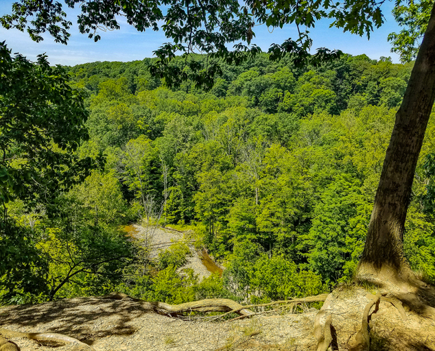 Hell Hollow Wilderness Area | Lake Metroparks
