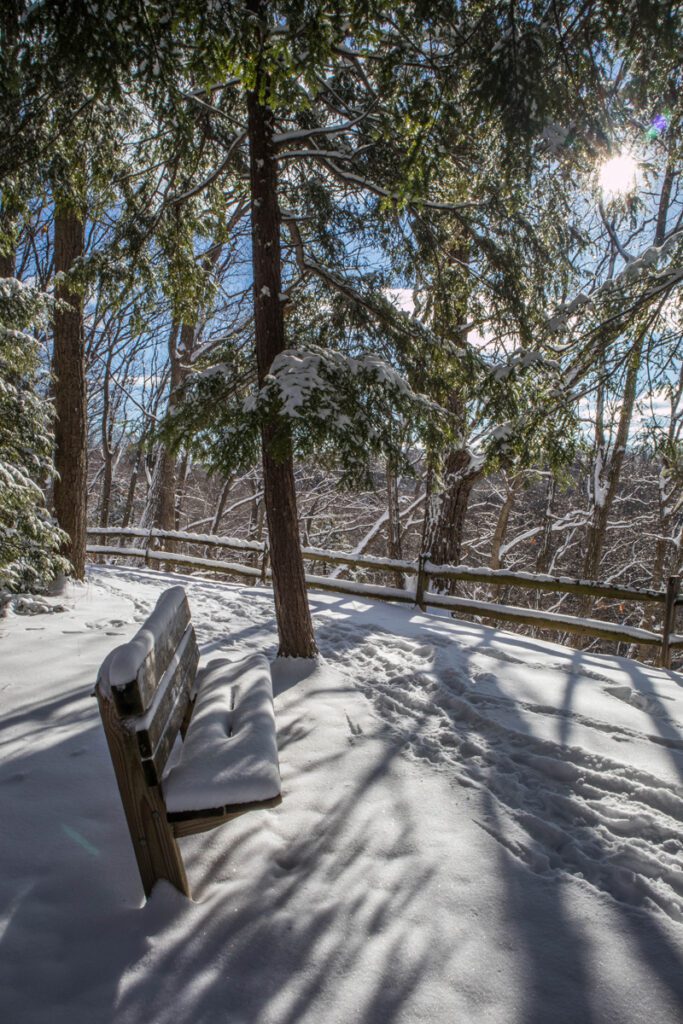 Hell Hollow Wilderness Area | Lake Metroparks