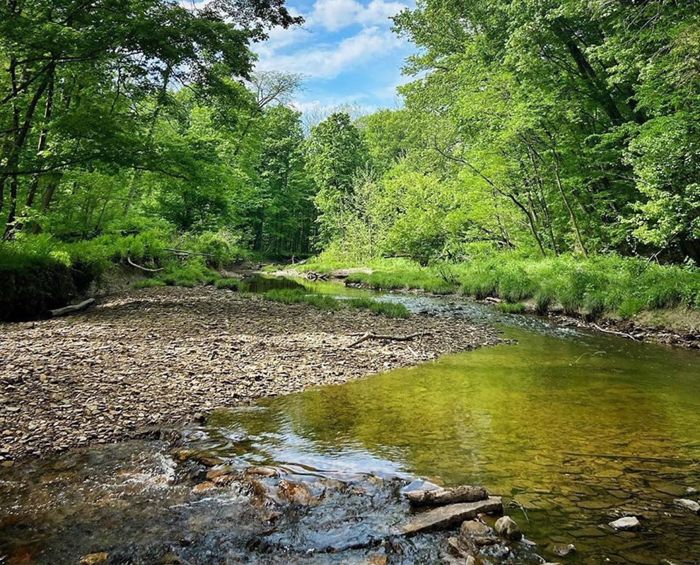 Hogback Ridge Park | Lake Metroparks