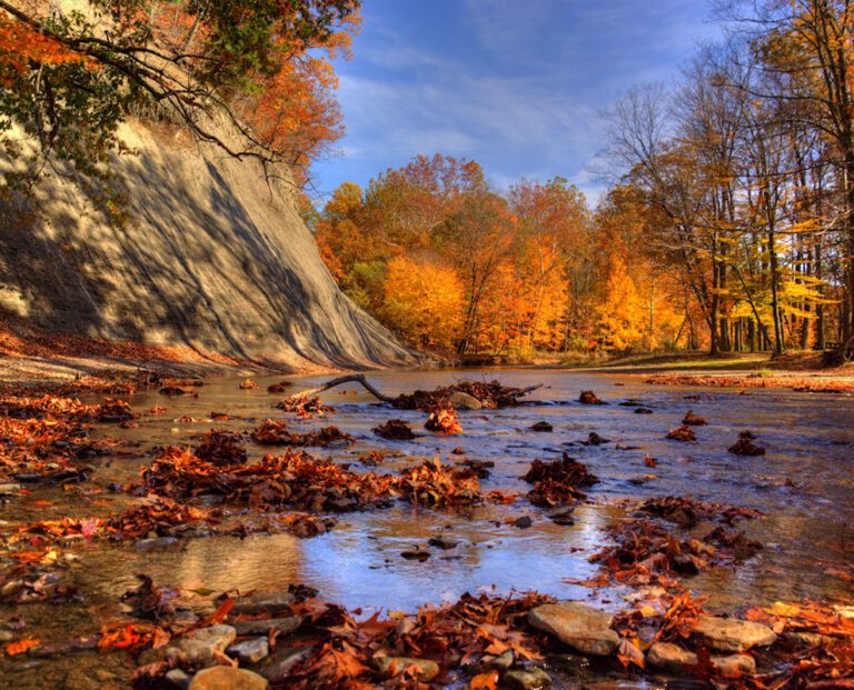 Indian Point Park | Lake Metroparks