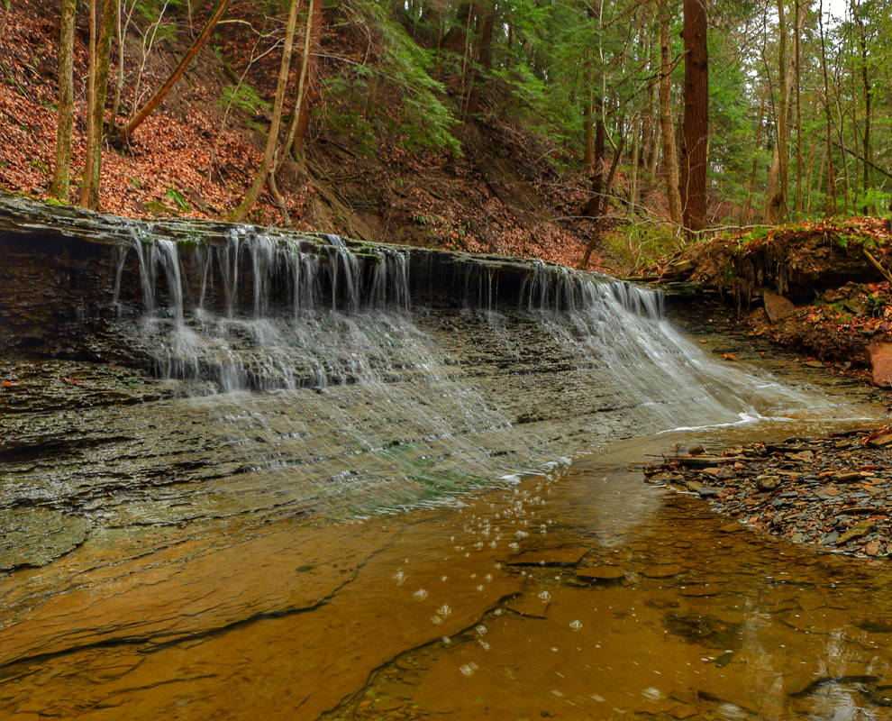 Indian Point Park | Lake Metroparks