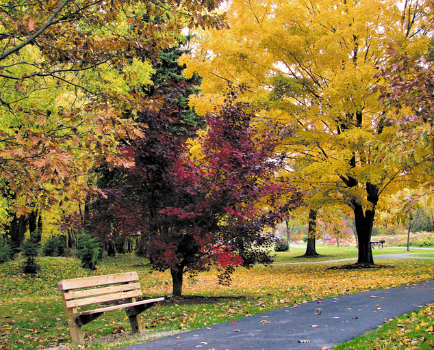 Lakeshore Reservation | Lake Metroparks