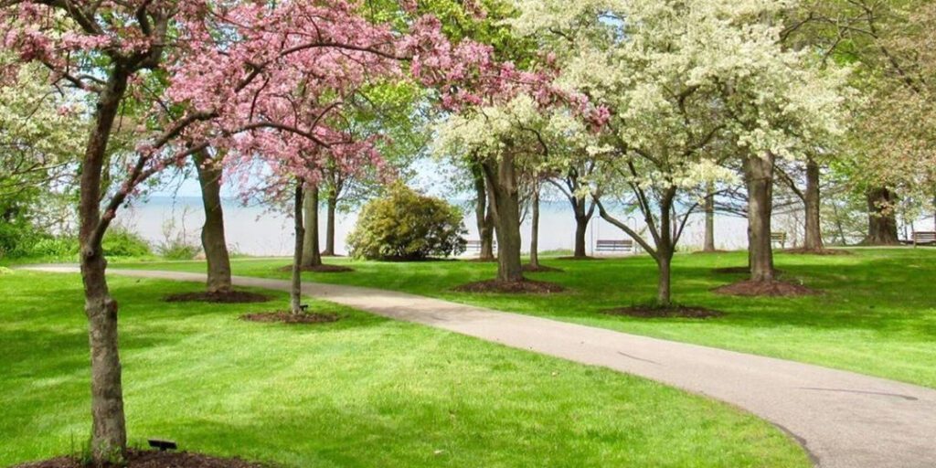 Lakeshore Reservation | Lake Metroparks